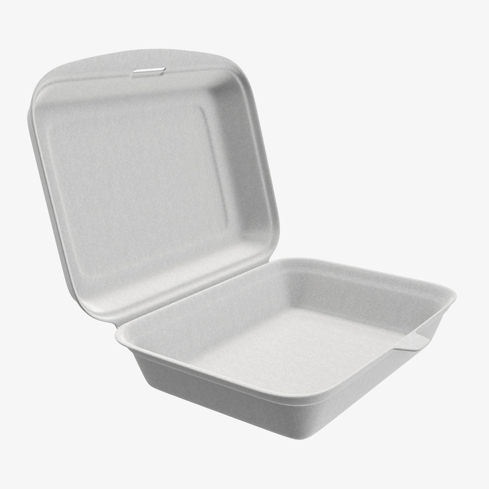 Take-out lunch polystyrene box 03 PBR 3D Model - 3dmstock.com