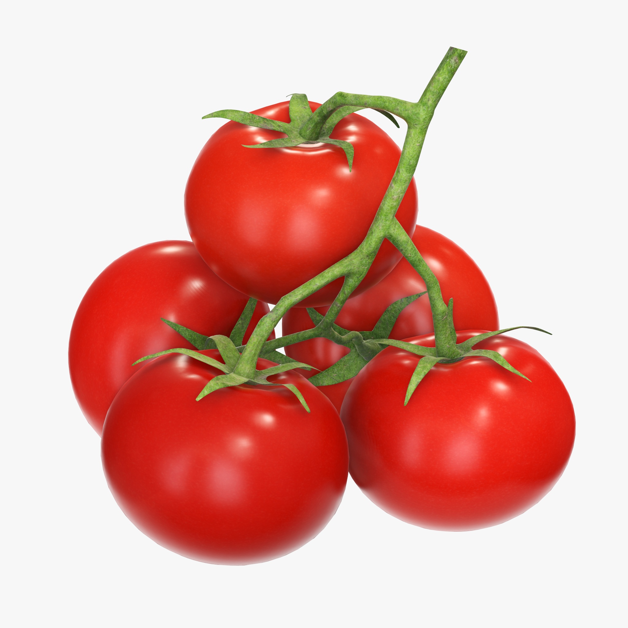 Tomato branch 01 PBR 3D Model - 3dmstock.com